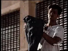 Brad Pitt | Levi's Wiki | Fandom