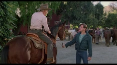 Michael Paré | Levi's Wiki | Fandom