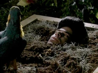 Garden | Lexx Wiki | Fandom