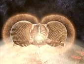 The Lexx | Lexx Wiki | Fandom