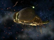 Little Lexx | Lexx Wiki | Fandom