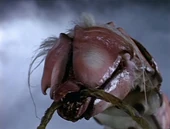 Cluster Lizard | Lexx Wiki | Fandom