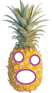 Pnjghjg | Lf Wiki | Fandom