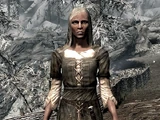Category:Skyrim Characters | LGBT Characters Wikia | Fandom