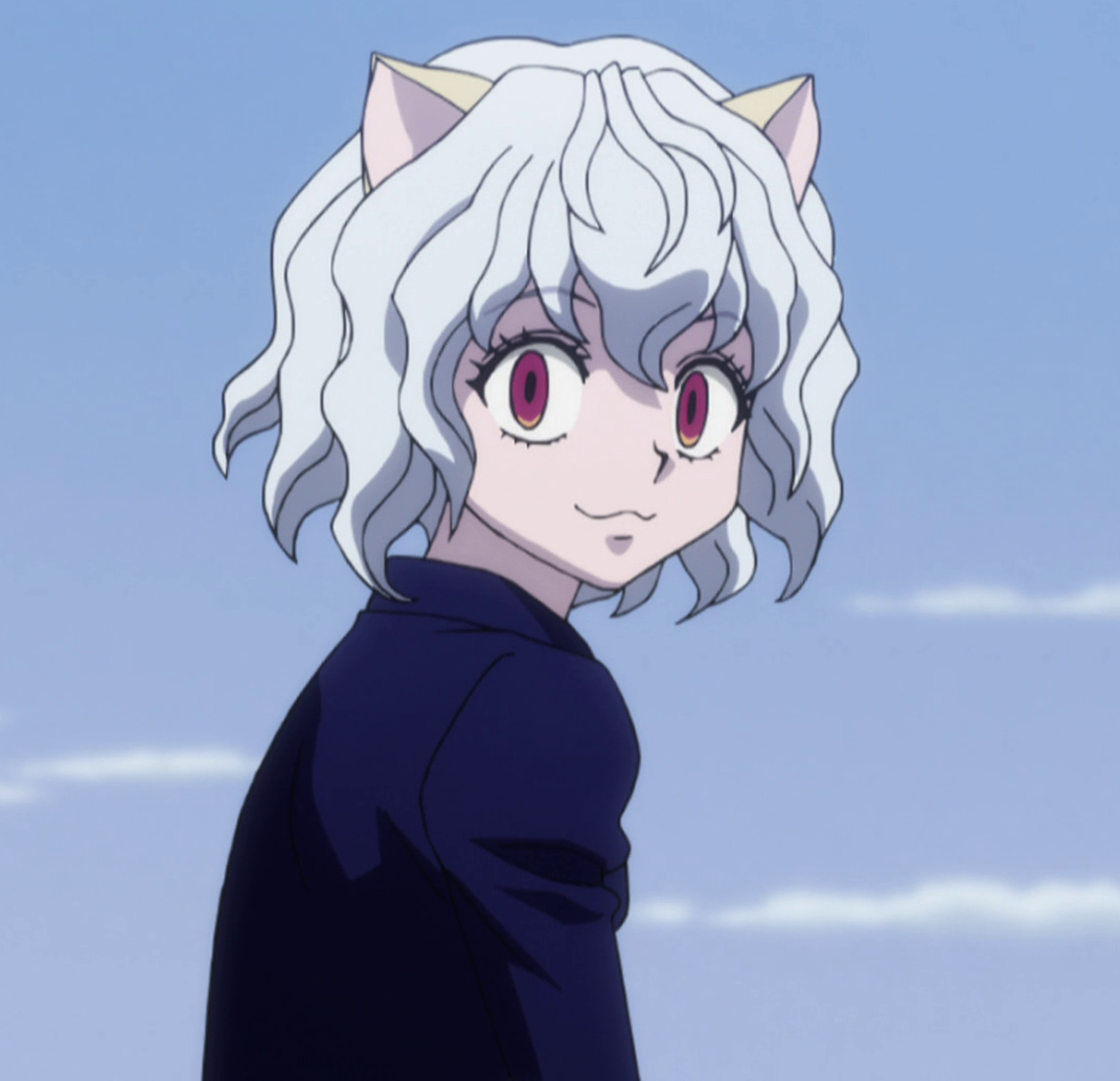 Neferpitou Lgbt Characters Wikia Fandom
