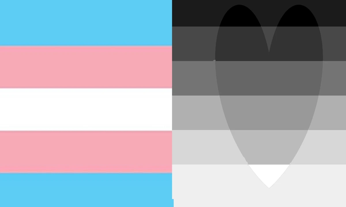 Transgender Heteroromantic | LGBT+ pride Wiki | Fandom