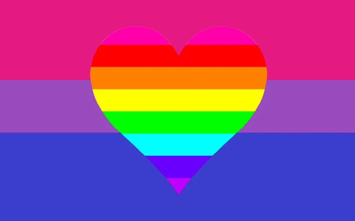 Homoromantic bisexual | LGBT+ pride Wiki | Fandom