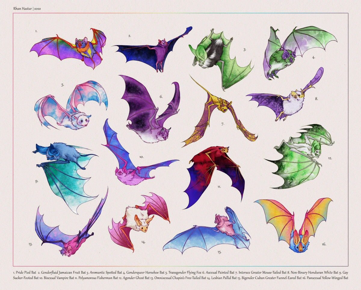 Pride Animals/Mammals/Bats | LGBT Spoofs Wiki | Fandom