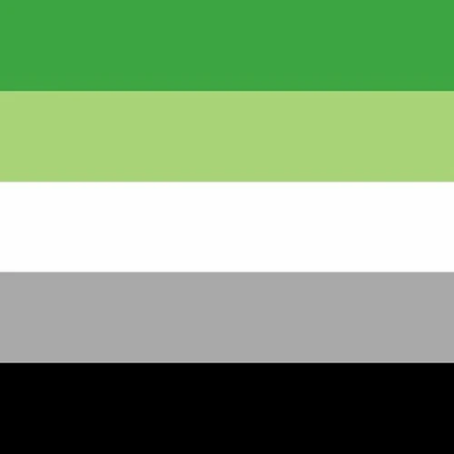 Bandera Asexual Aromática