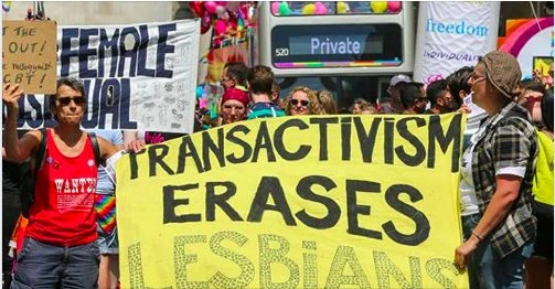 Trans-exclusionary radical feminist | LGBT* Wiki | Fandom