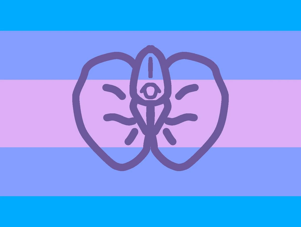 Boyceta | LGBTQIA+ Wiki | Fandom