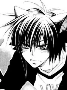 Necoco | Lgbtonmedias Wiki | Fandom