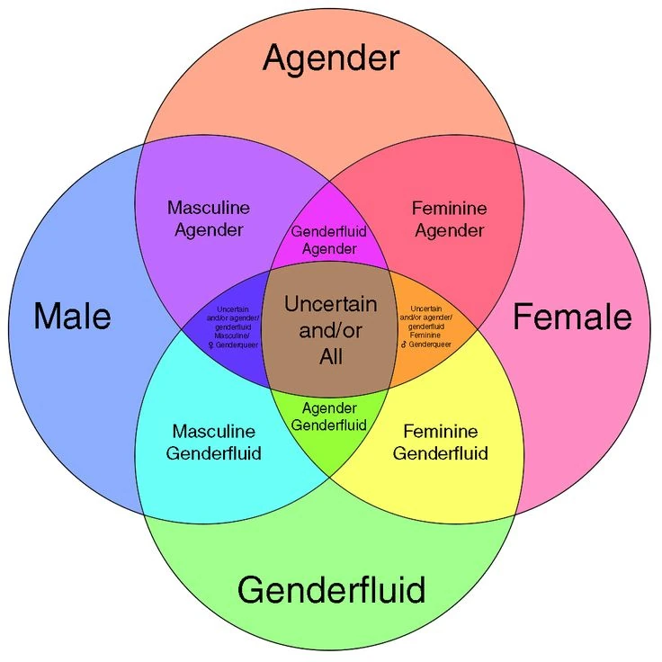 Gender Identity Chart