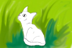 Lines | Wiki LGDC 2 | Fandom