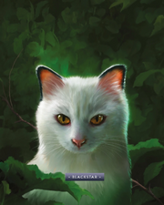 Étoile de Jais | Wiki La guerre des Clans | Fandom