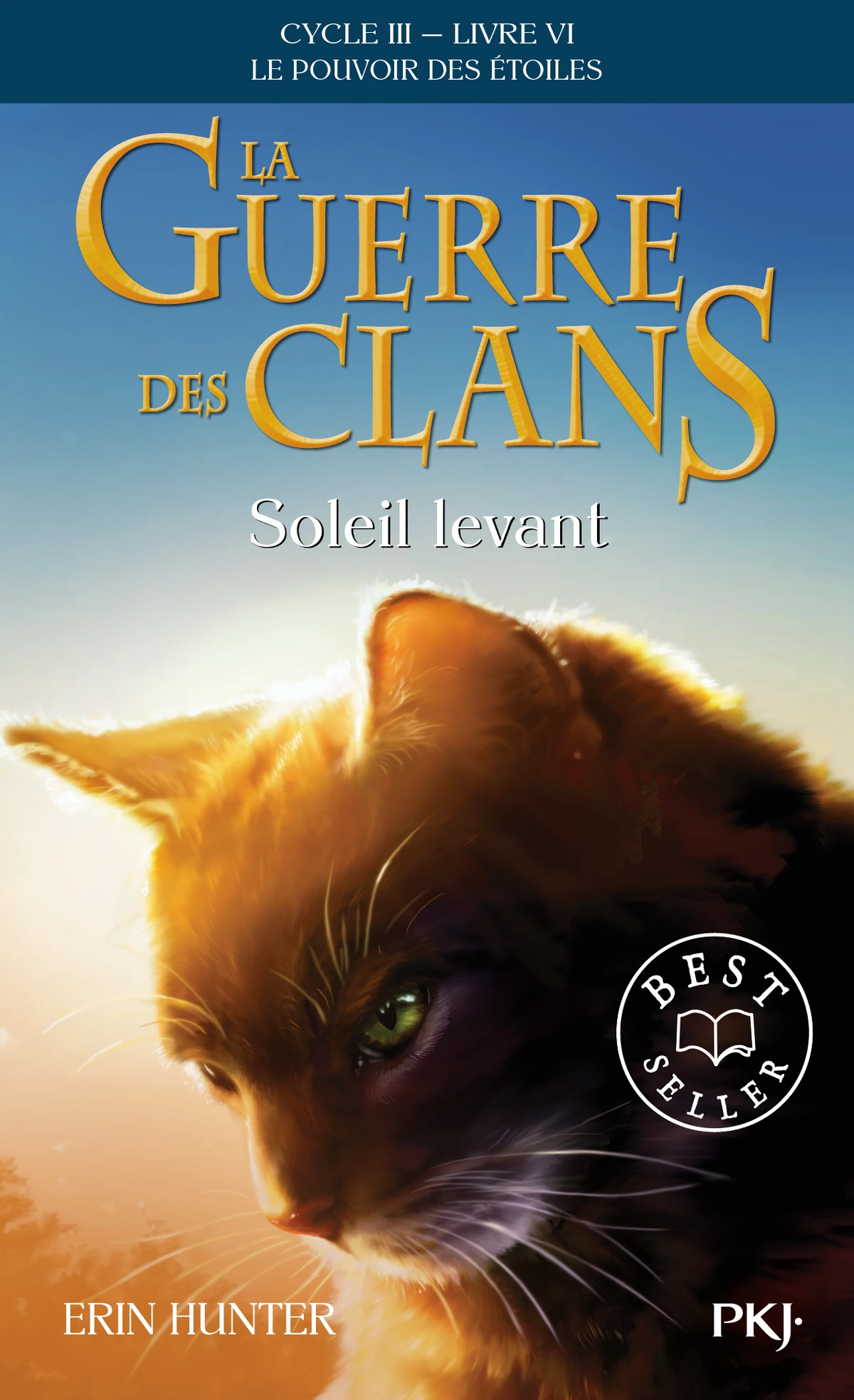 Soleil levant/Chapitre 1 | Wiki La guerre des Clans | Fandom