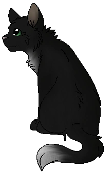 Nuage de Jais | Wiki La guerre des Clans | Fandom