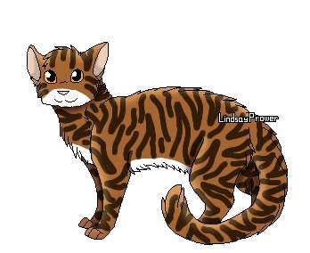 Mistpool | Wiki La guerre des Clans | Fandom