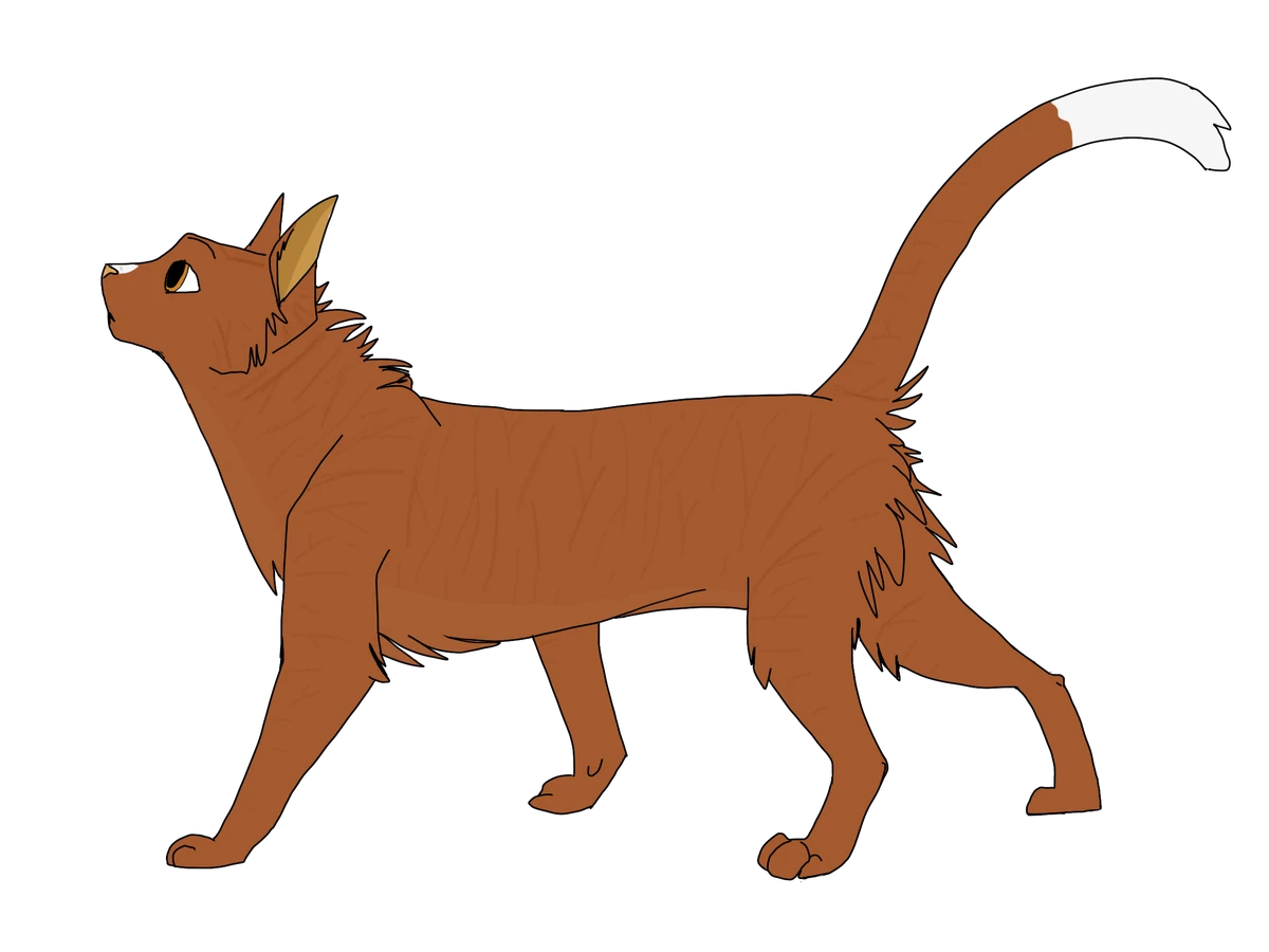 Queue d'épine | Wiki Lgdc | Fandom