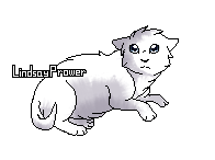 Lightning | Wiki La guerre des Clans | Fandom