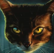 Griffe de Ronce | Wiki La guerre des Clans | Fandom