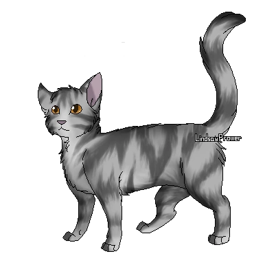 Poil de Menthe | Wiki La guerre des Clans | Fandom