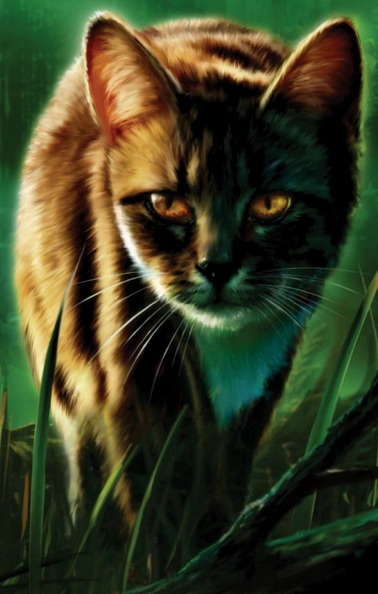 Brin de Soleil | Wiki La guerre des Clans | Fandom