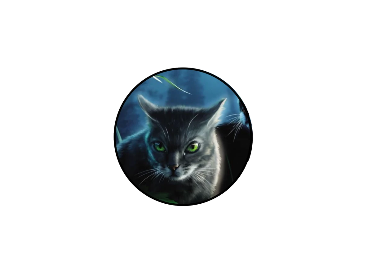 Créer ton personnage | Wiki Lgdc | Fandom