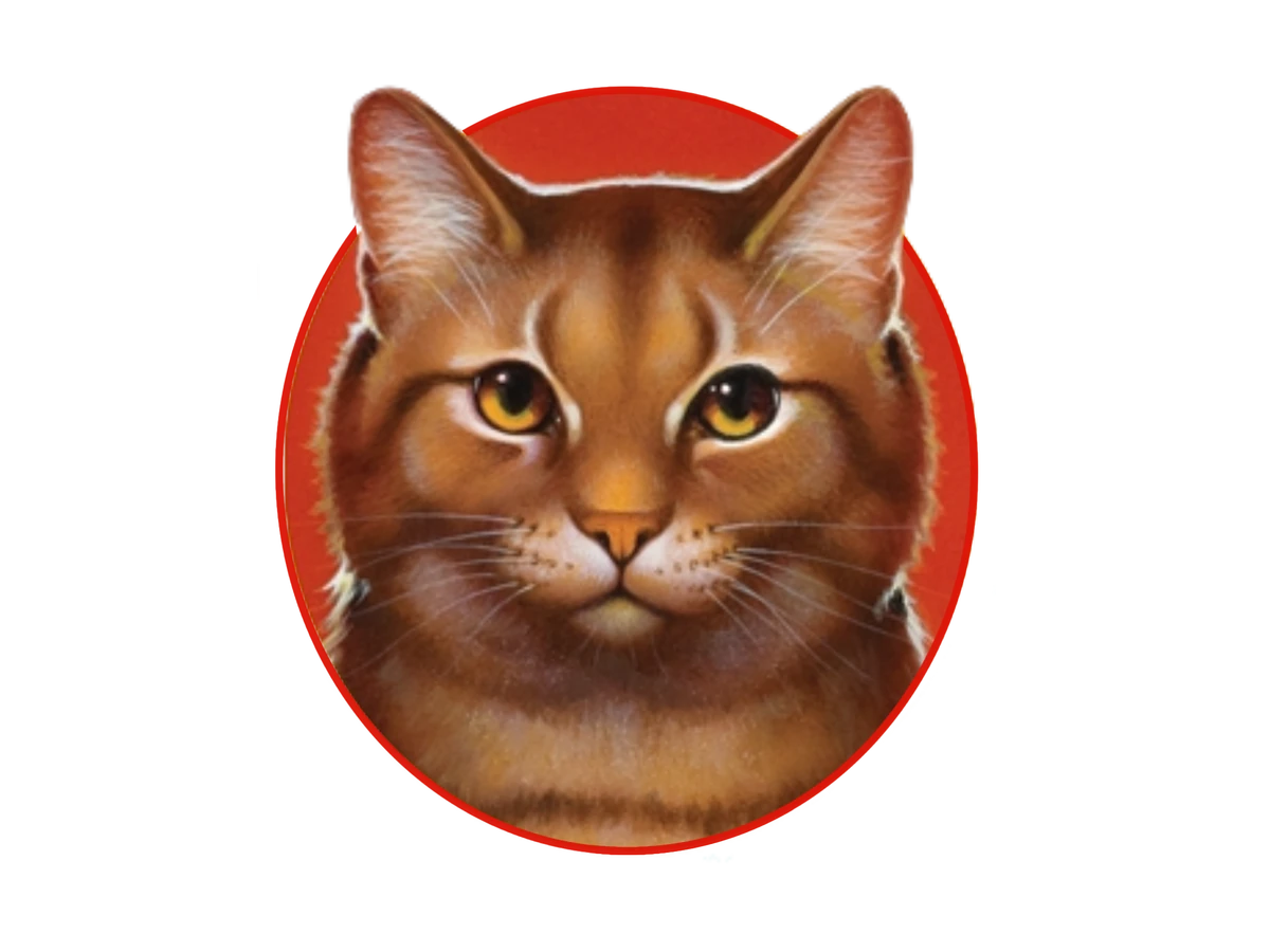 Programme d’apprentissage | Wiki Lgdc | Fandom