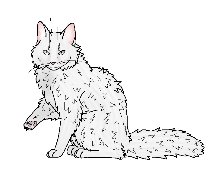 Limo | Wiki Los Gatos Guerreros Fan-Traducciones | Fandom