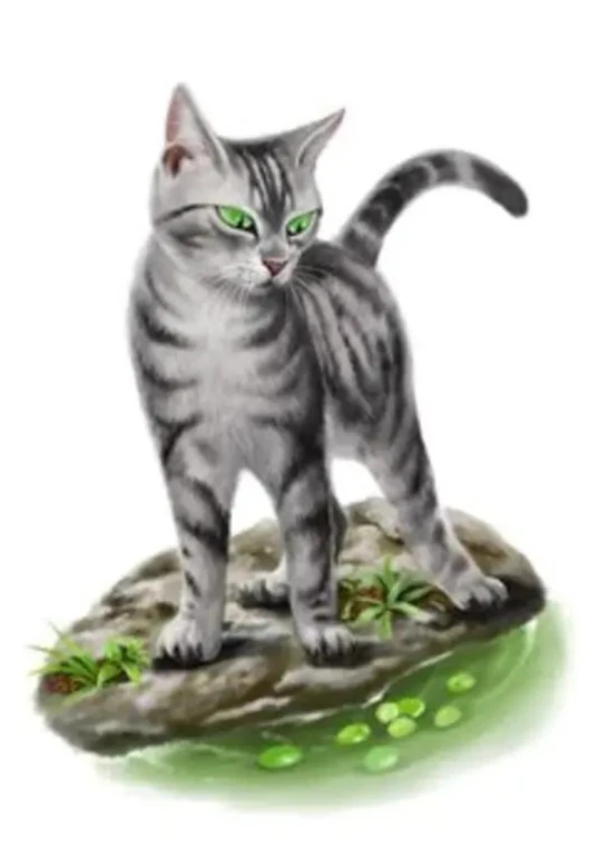 Blima | Wiki Los Gatos Guerreros Fan-Traducciones | Fandom