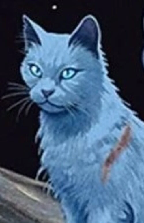 Estrella Azul | Wiki Los Gatos Guerreros Fan-Traducciones | Fandom