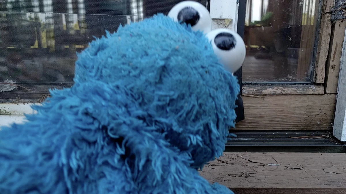 Cookie Monster | Liam Doherty Wiki | Fandom