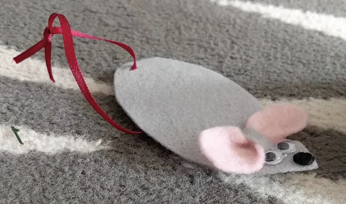 Mouse | Liam Doherty Wiki | Fandom