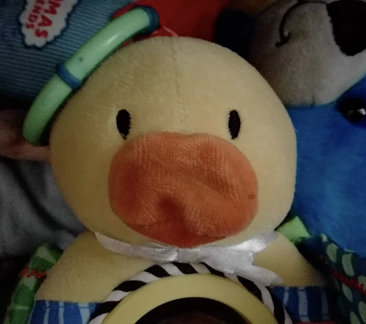 Ducky | Liam Doherty Wiki | Fandom