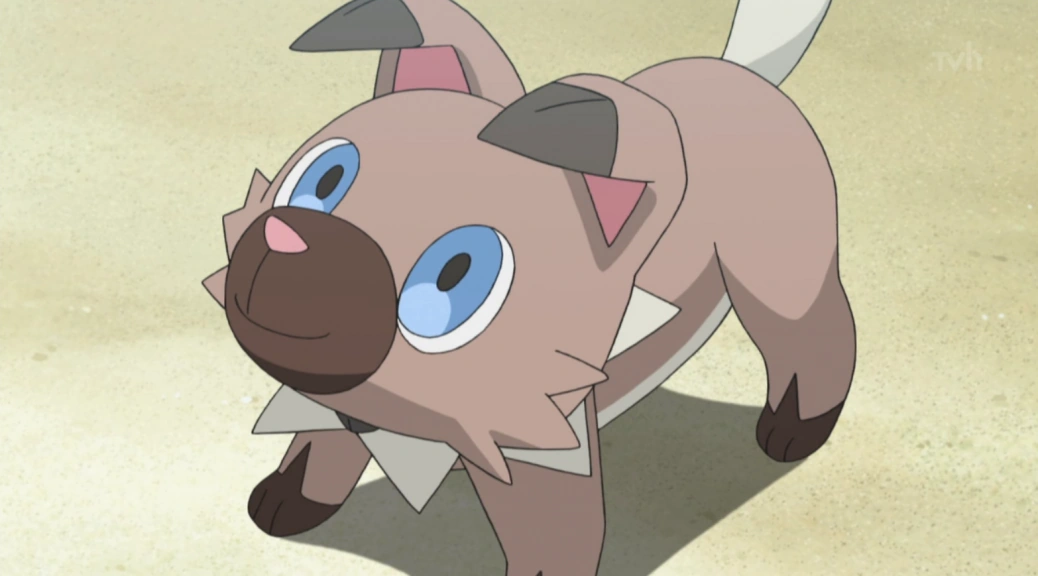 Matt's Rockruff | Liam's Adventures Wiki | Fandom
