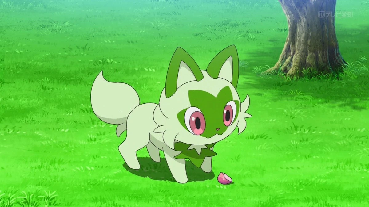 Sprigatito | Liam's Adventures Wiki | Fandom