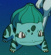 Bulbasaur | Liam's Adventures Wiki | Fandom