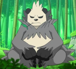 Seth's Pangoro | Liam's Adventures Wiki | Fandom