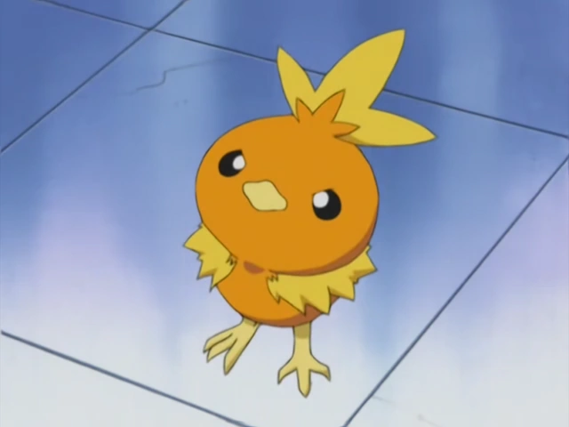 Torchic | Liam's Adventures Wiki | Fandom