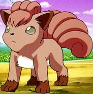 Vulpix | Liam's Adventures Wiki | Fandom