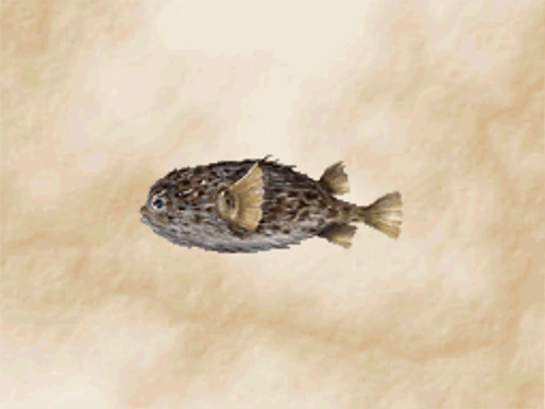 Balloon Fish | Lost in Blue Wiki | Fandom