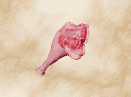 Mouse Meat | Lost in Blue Wiki | Fandom