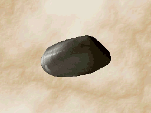 Black Round Shell | Lost in Blue Wiki | Fandom