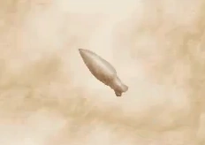 Sharpened Bone | Lost in Blue Wiki | Fandom