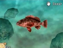 Sting Fish | Lost in Blue Wiki | Fandom