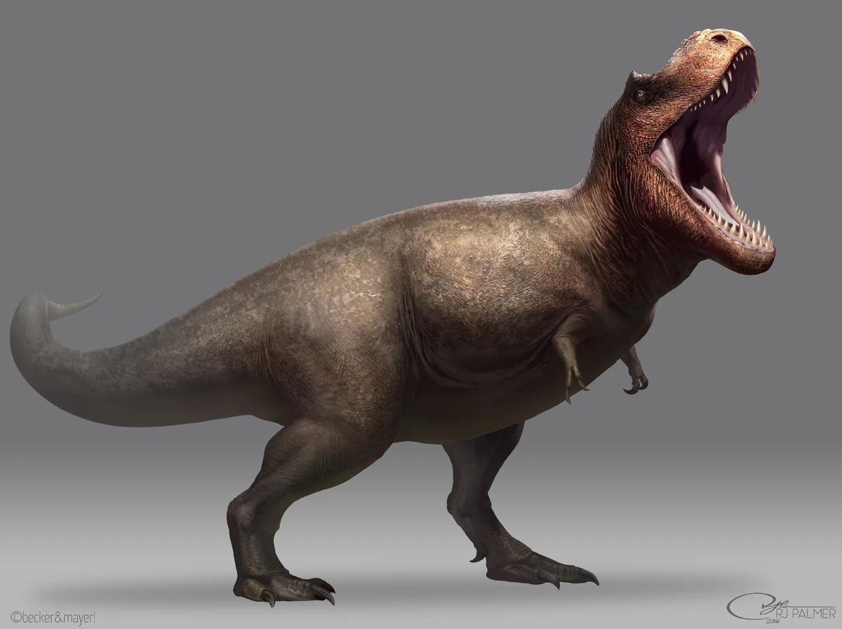 Tyrannosaurus rex | Wikia Liber Proeliis | Fandom