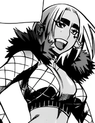 Chaos Chronicle | Wikia Liber Proeliis | Fandom