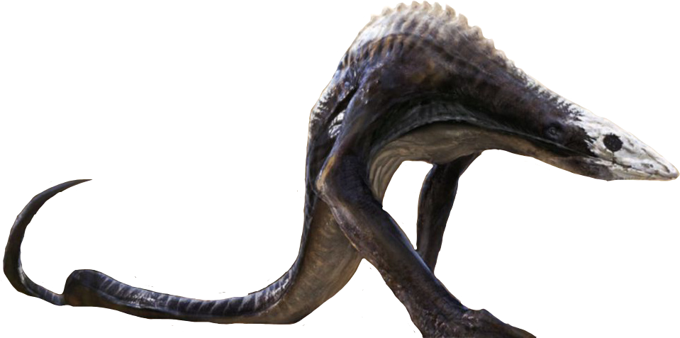 Skullcrawler | Wikia Liber Proeliis | Fandom