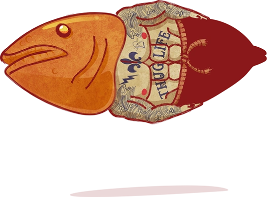 Carp | Wikia Liber Proeliis | Fandom